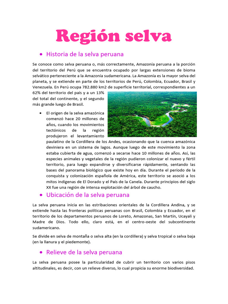Región selva | PDF