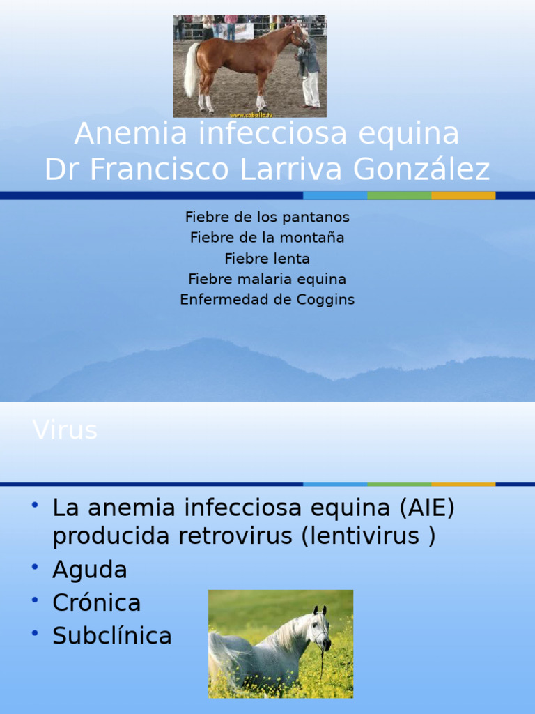 Anemia Infecciosa Equina Agrocalidad | PDF
