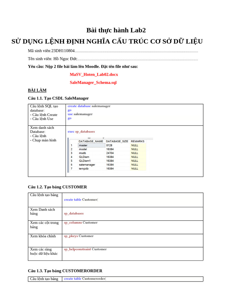 Lab2 - Bai Lam | PDF