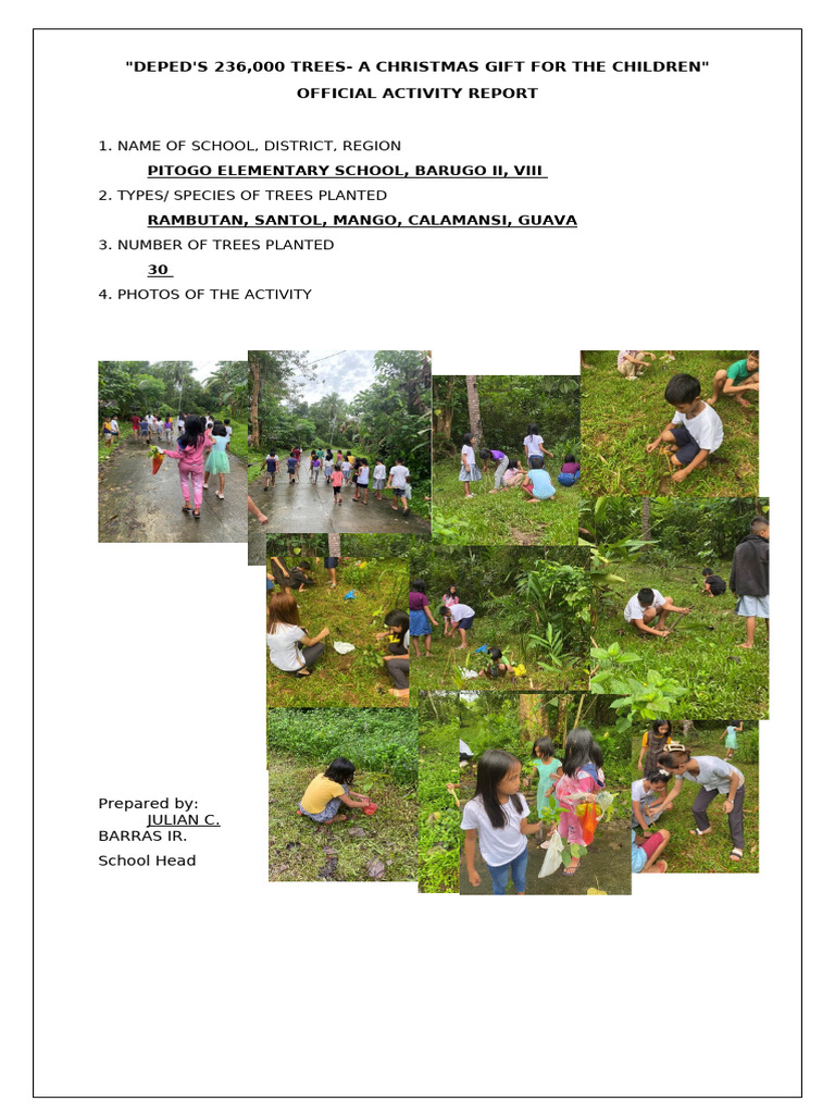 Tree Planting ACR 12-06-23 PITOGO ES | PDF