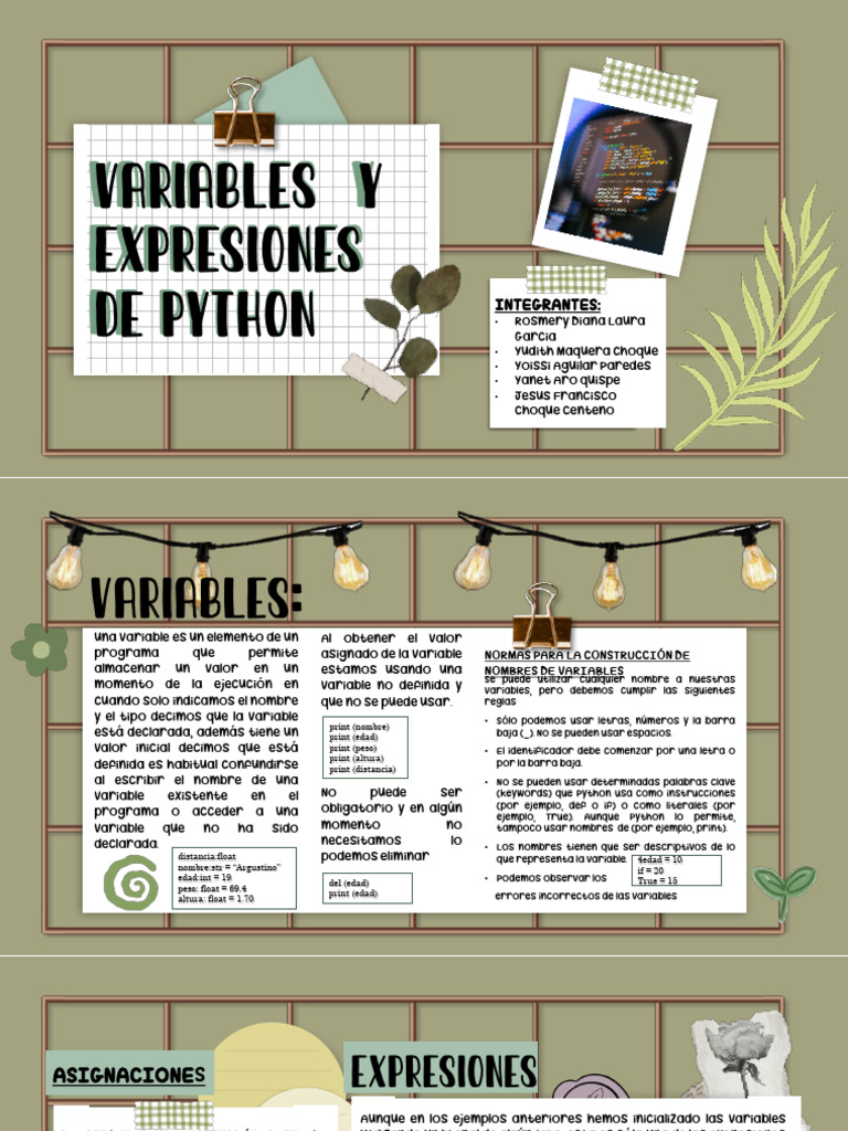 Variables y Expresiones de Python 1 | PDF