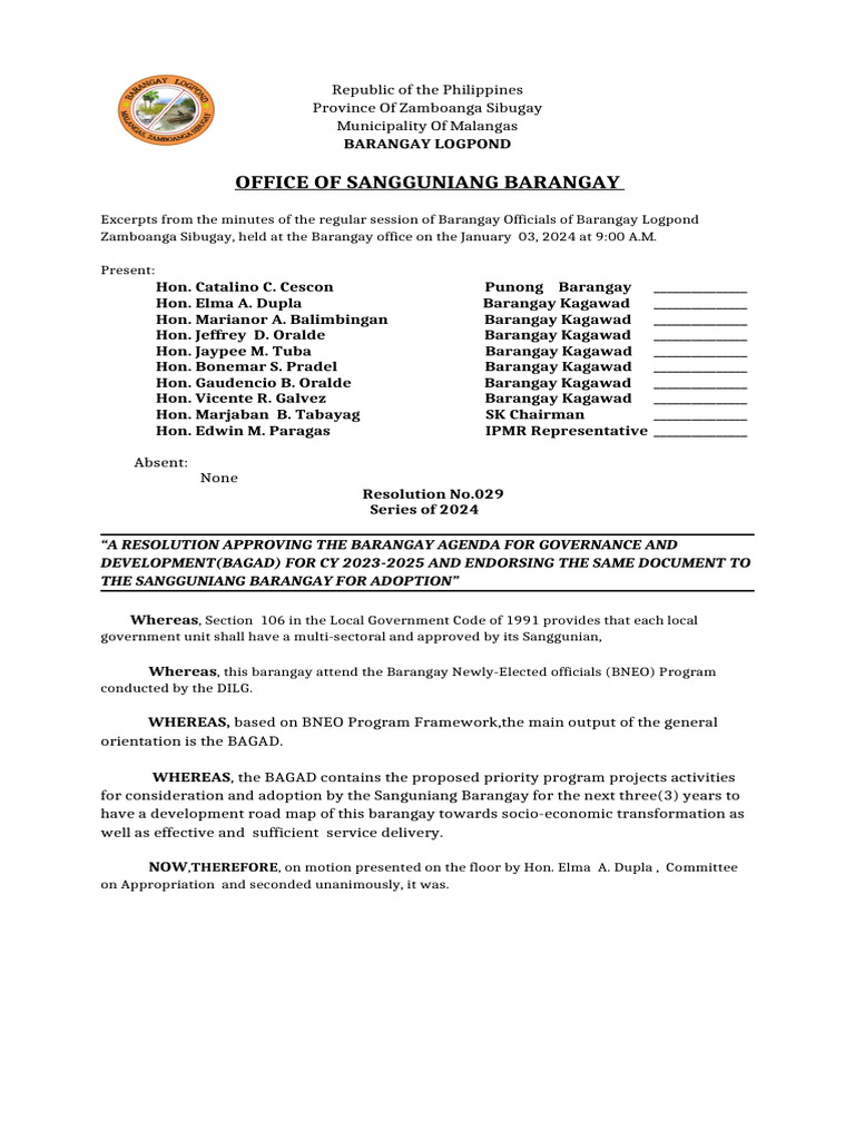 RESOLUTION We Access | PDF