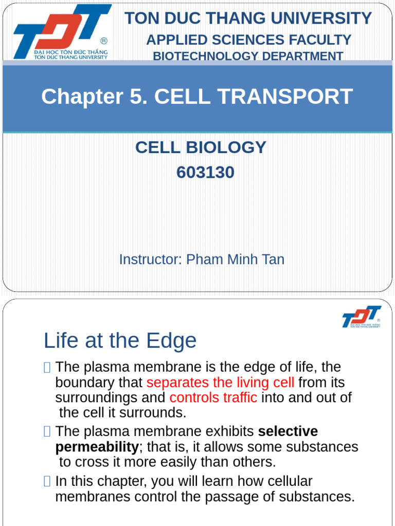 MCB 5 Cellular Transport | PDF