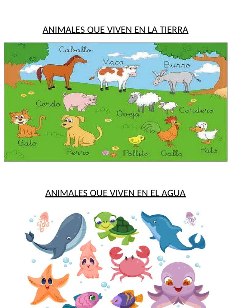 ANIMALES QUE VIVEN EN LA TIERRA | PDF