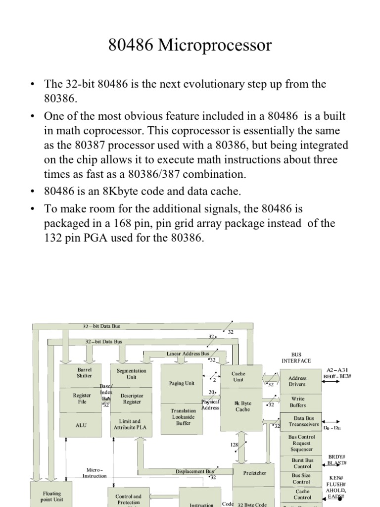 80486 | PDF | Cpu Cache | Dynamic Random Access Memory