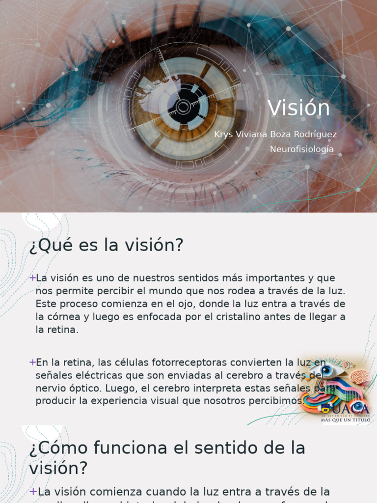 Sentido de La Visión | PDF