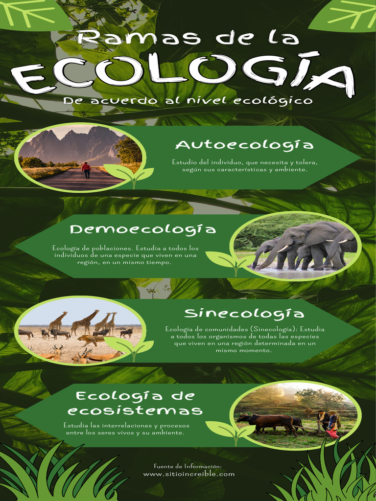 Infografia Ramas de La Ecologia. | PDF