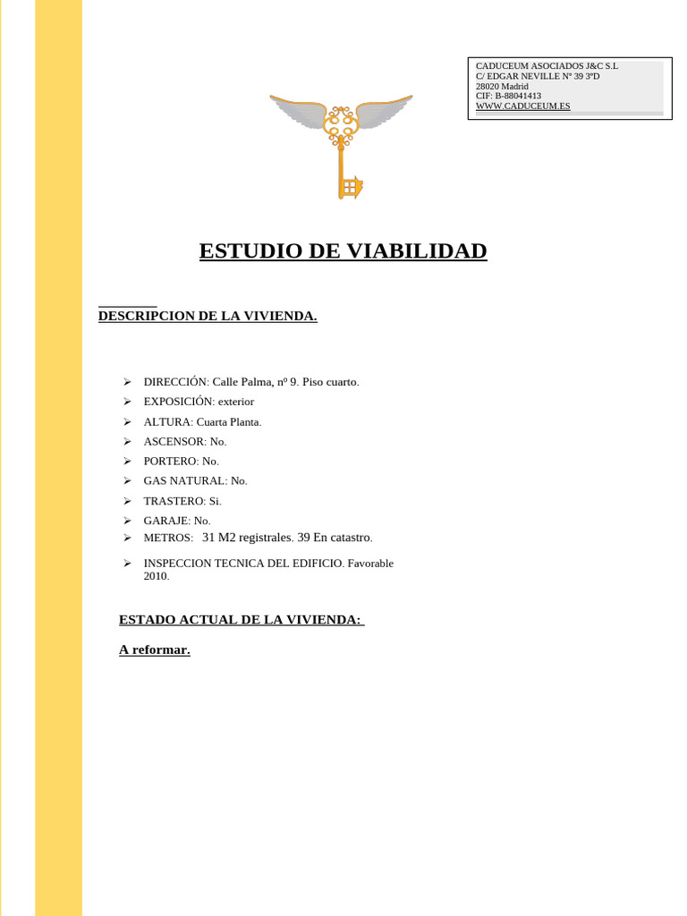 Ejemplo de Estudio de Viabilidad | PDF | Negocios