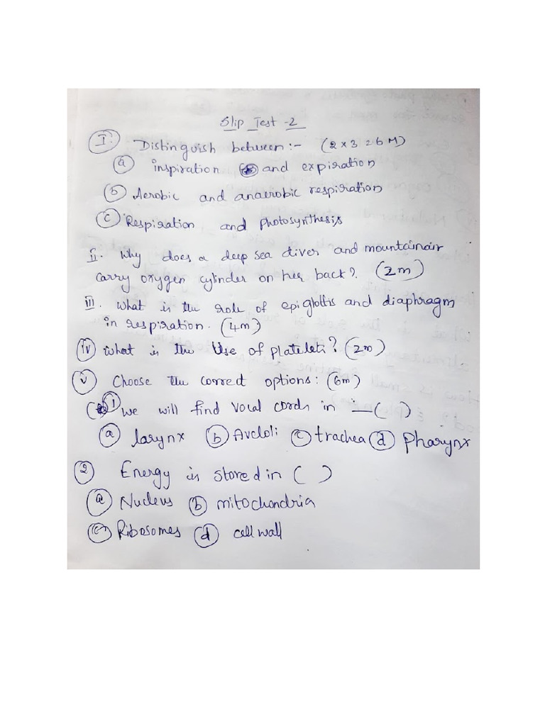 Slip Test 2 Bio | PDF