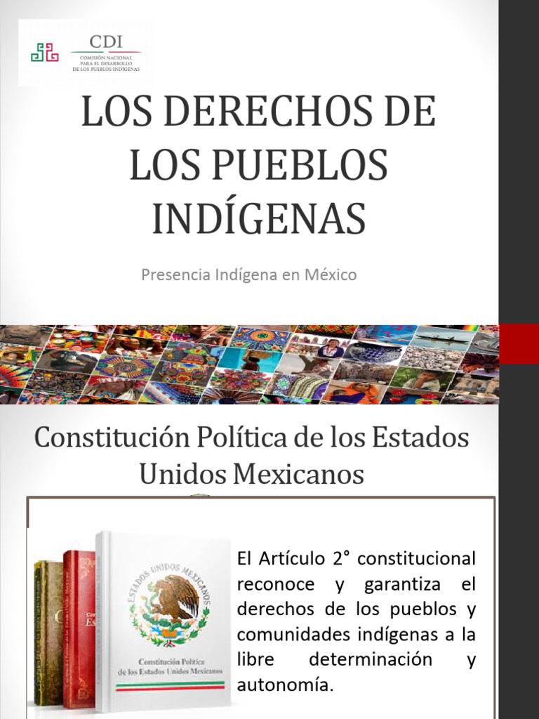 Derechos de Los Pueblos Indigenas 2 | PDF | México | Derechos humanos