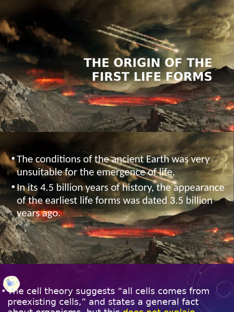 The Origin of The First Life Forms | PDF | Abiogenesis | Nature