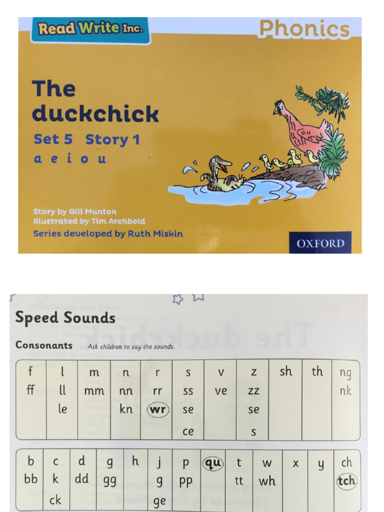 Reading Book Week 8 Duckchick | PDF
