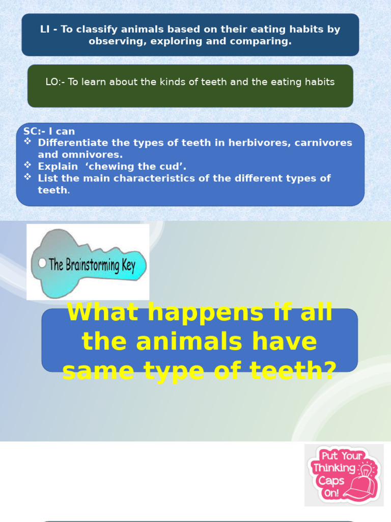4 Types of Teeth in Animals | PDF