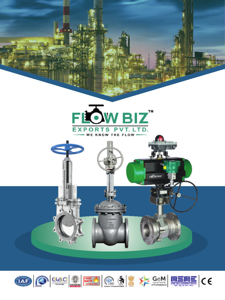 FlowBiz Sales Catalouge | PDF | Valve | Nondestructive Testing