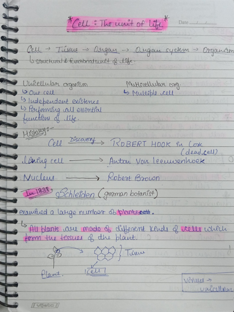 Cell Basic Unit of Life Notes | PDF