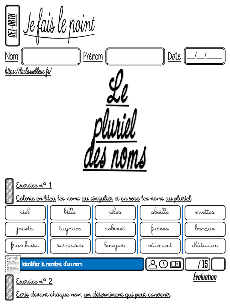 Le Pluriel Des Noms | PDF