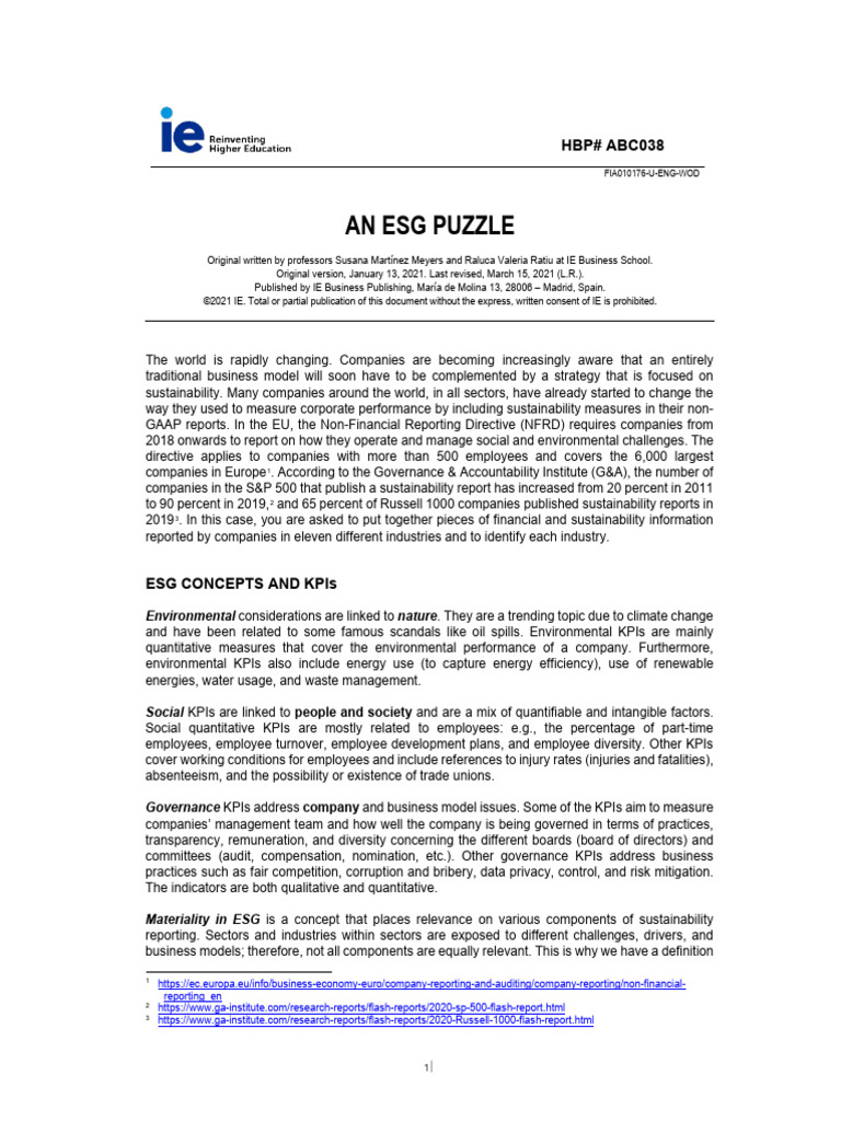 ESG Puzzale - Case Study - 2024 | PDF | Net Income | Business