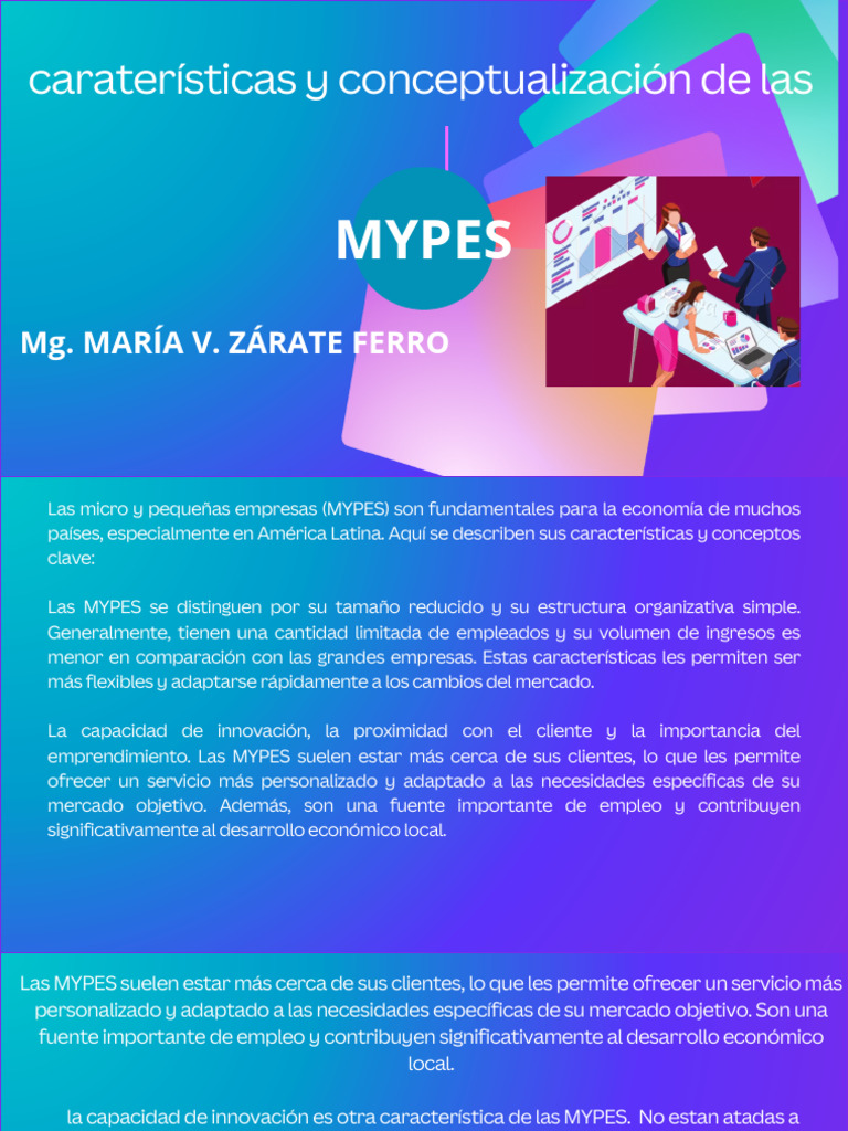 Caracteristicas y Conceptualizacion de La Mype | PDF