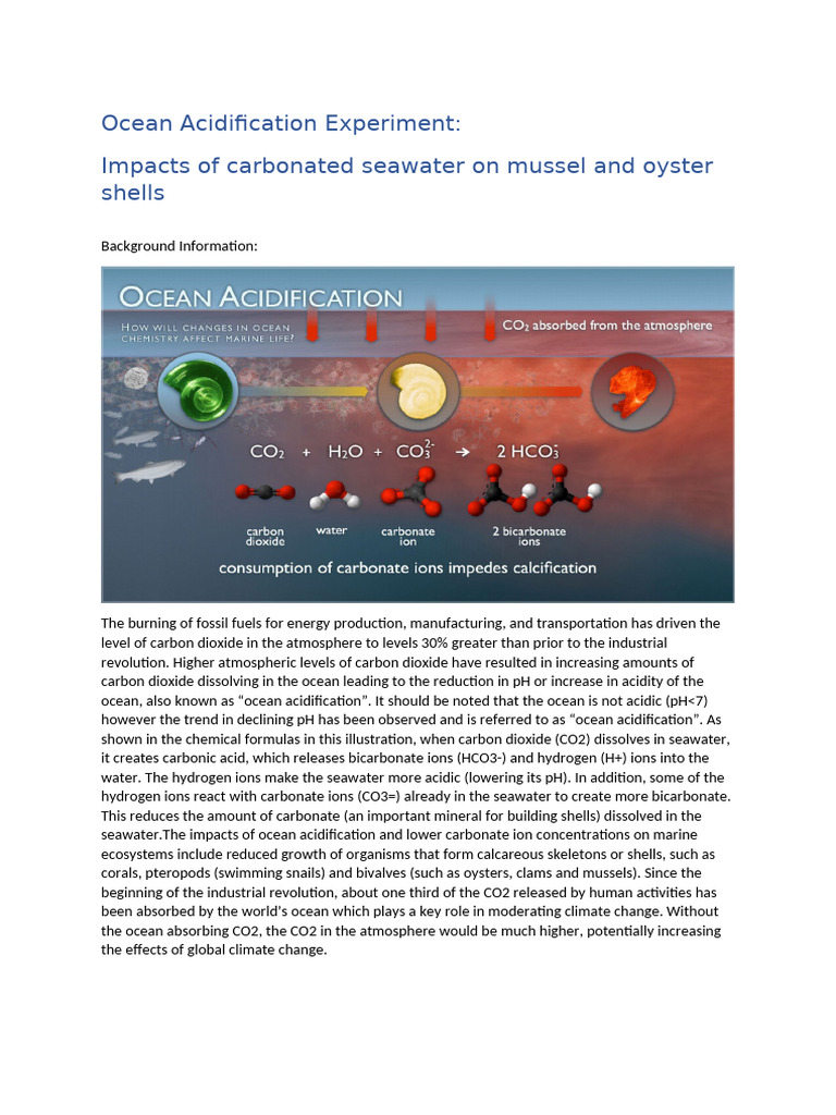 Ocean Acidification Experiment | PDF