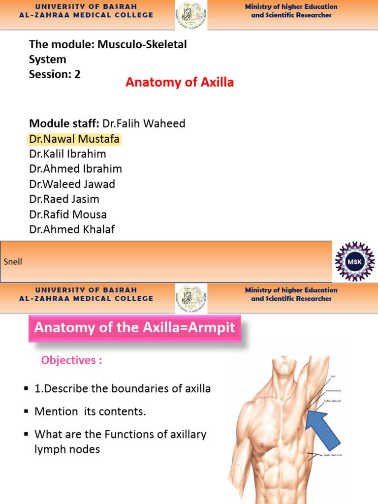 Anatomy of Axilla: The Module: Musculo-Skeletal System Session: 2 | PDF