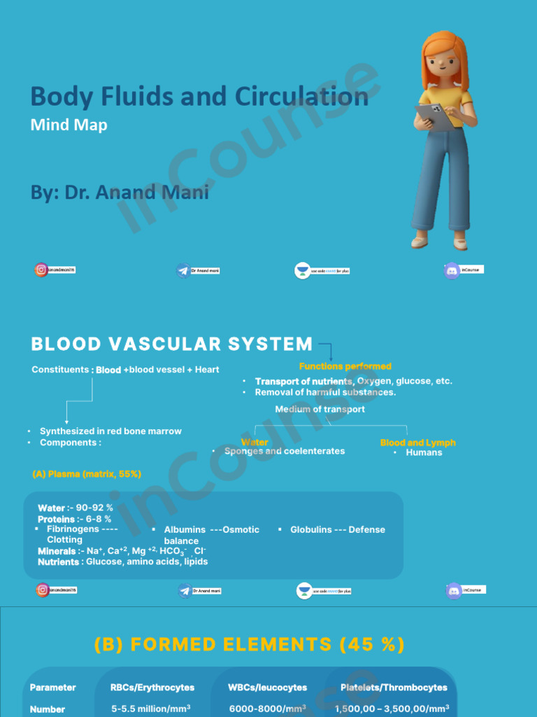 Body Fluids and Circulation Mind Map PDF | PDF