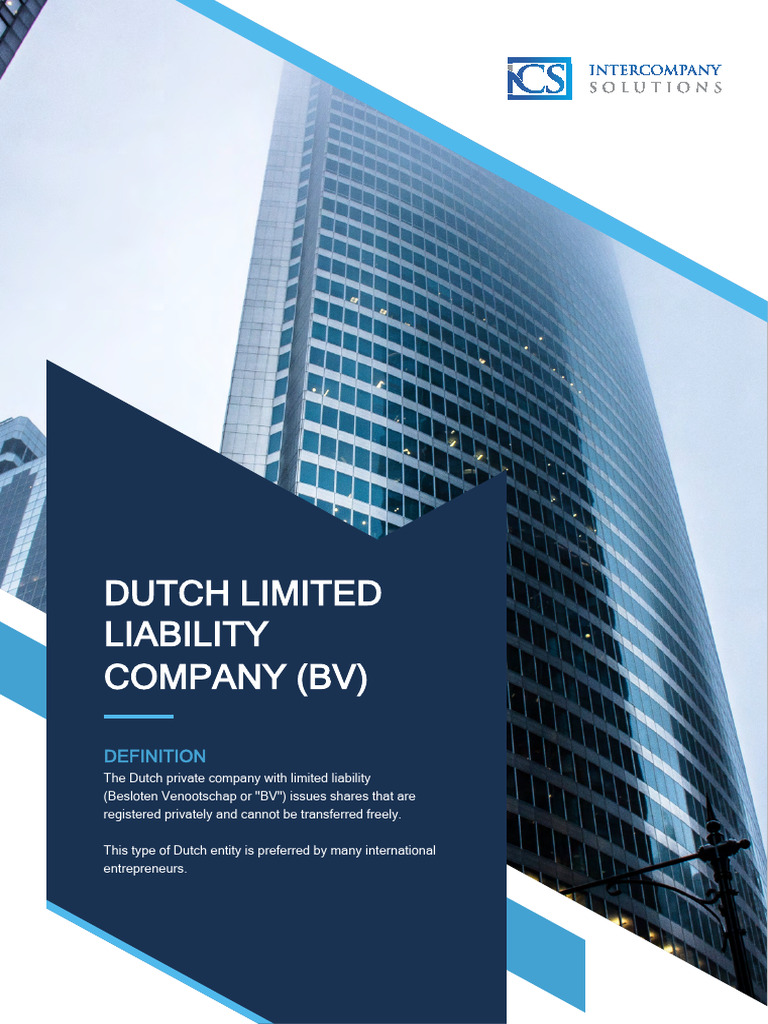 ICS Company Formation BV NEW | PDF | Taxes | Dividend