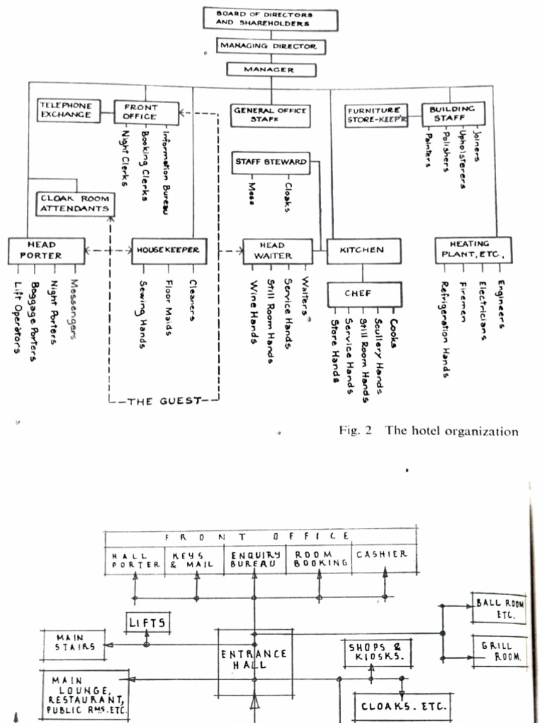 Hotel Organisation Chart | PDF