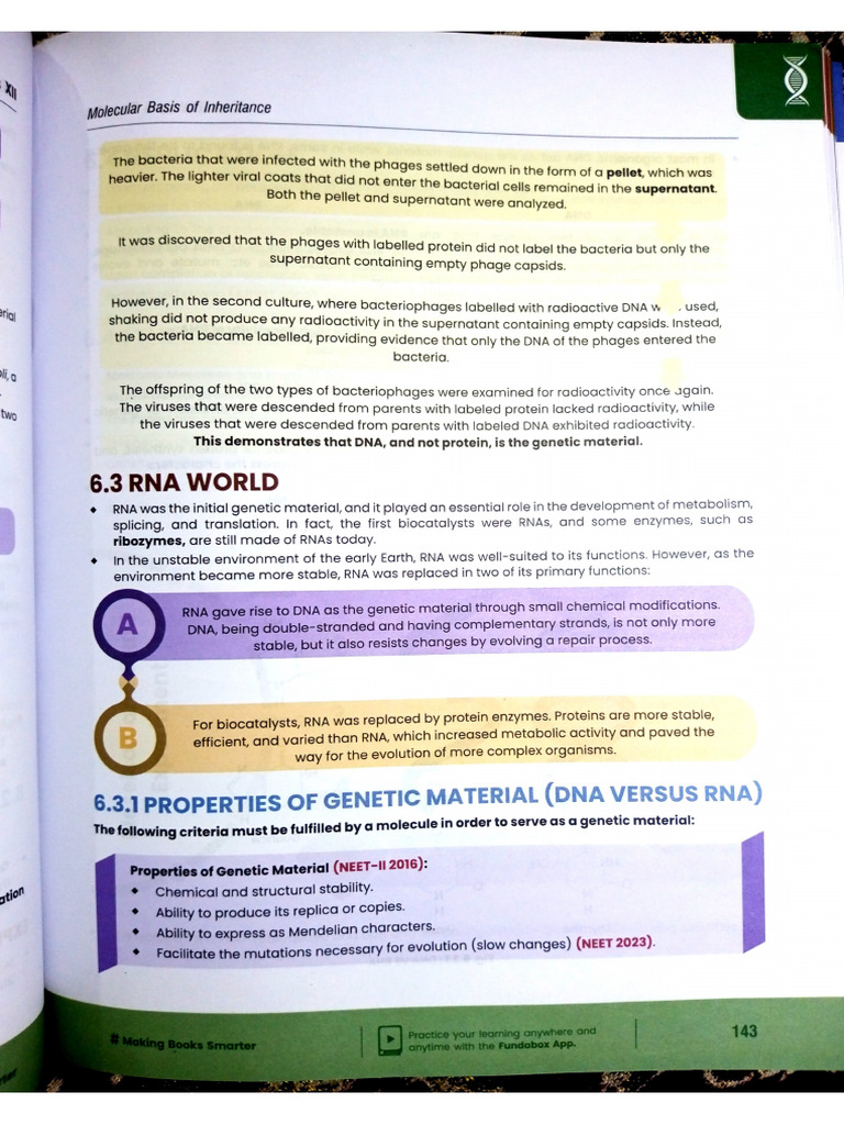 DNA Replication ?? | PDF