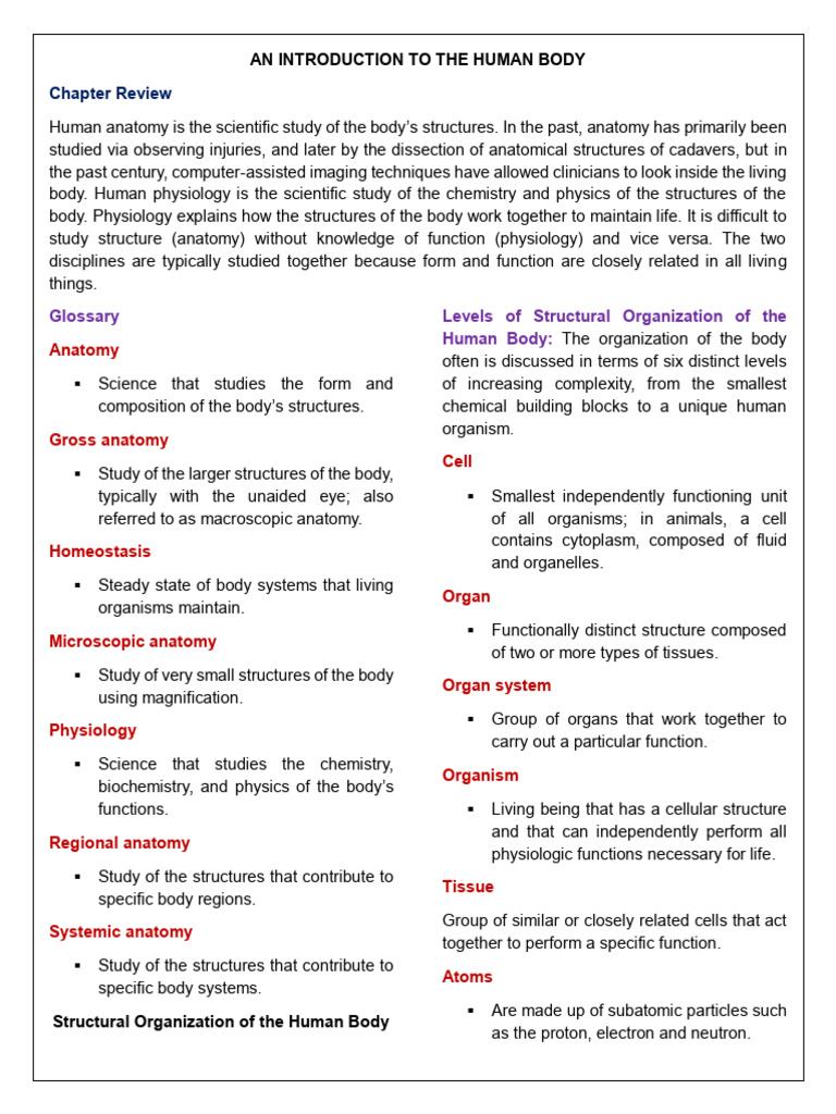 Anatomy and Physiology Note 4 | PDF