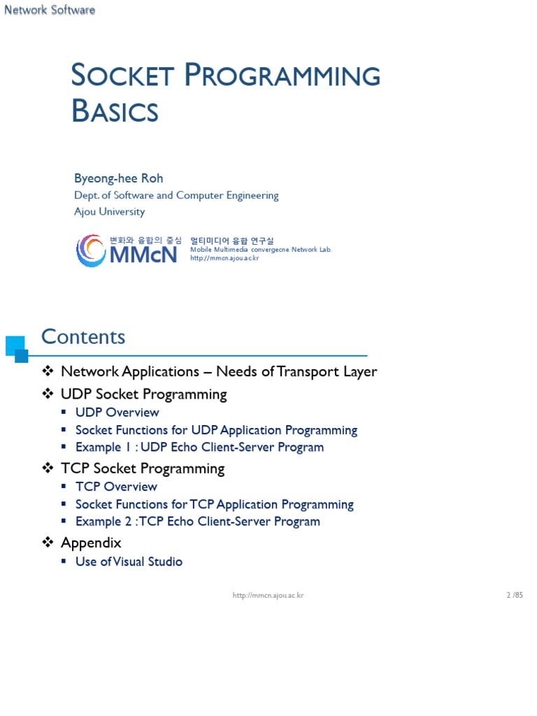NSW2024-03-Socket Programming Basics | PDF