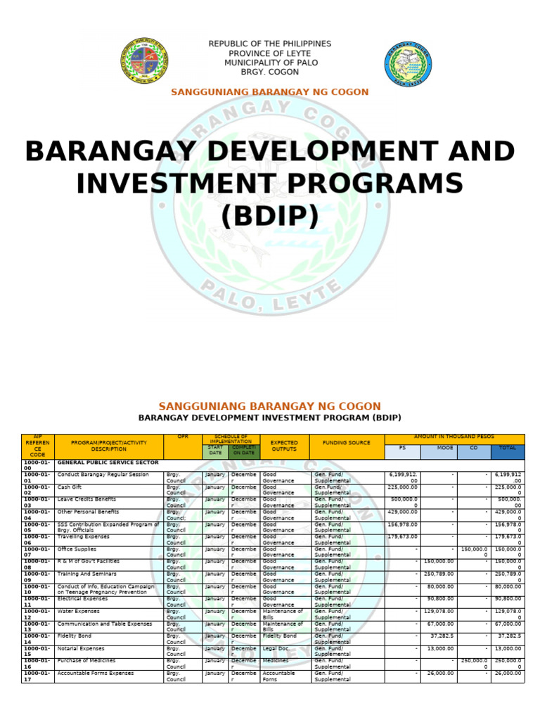 Barangay Development Investment Program 2024-2026 | PDF