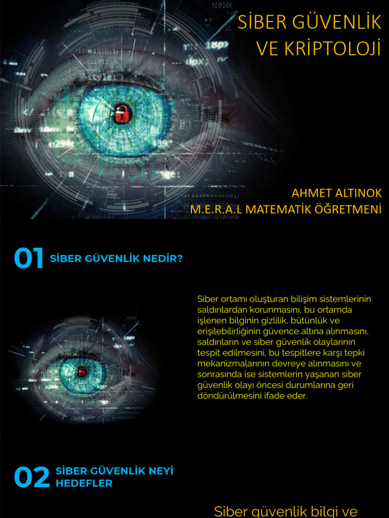 Siber Guvenlik Sunumu | PDF