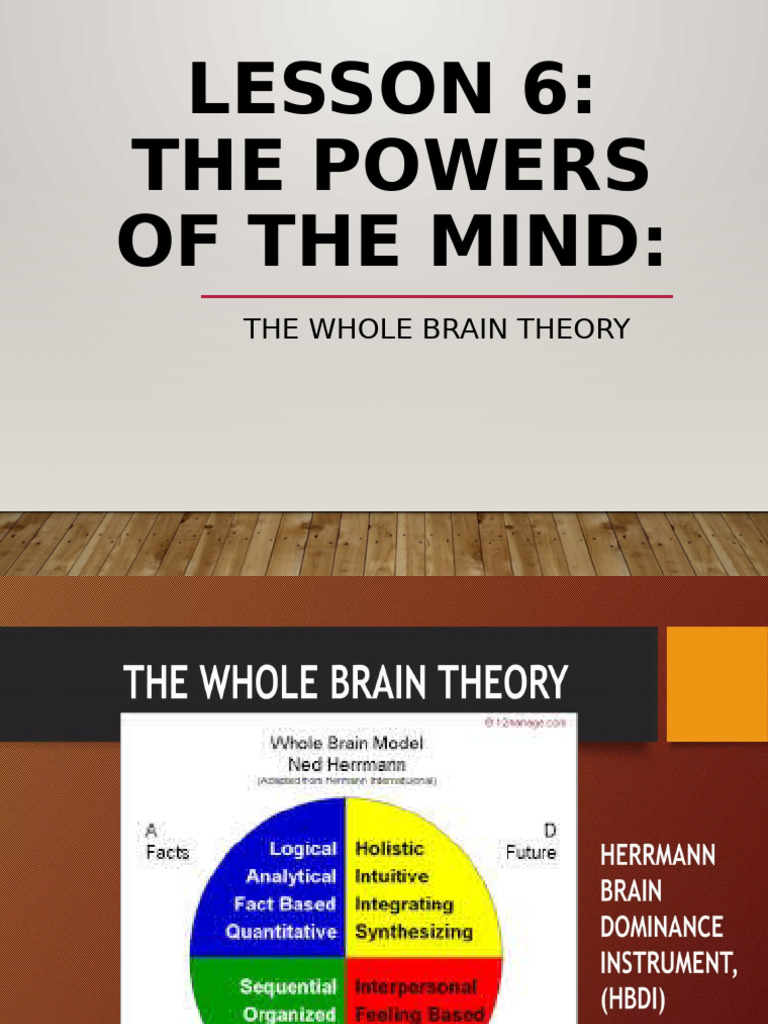 Per Dev The whole Brain Theory | PDF