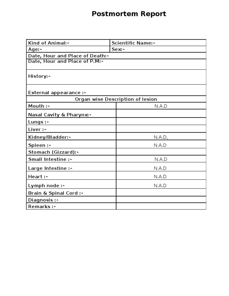 Detailed Animal Postmortem Report | PDF