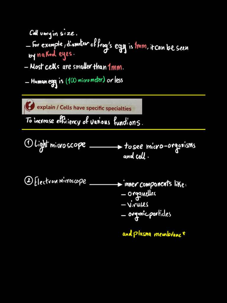 Cell Size | PDF