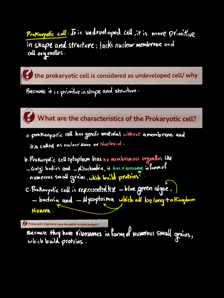 Prokaryotic Cells | PDF