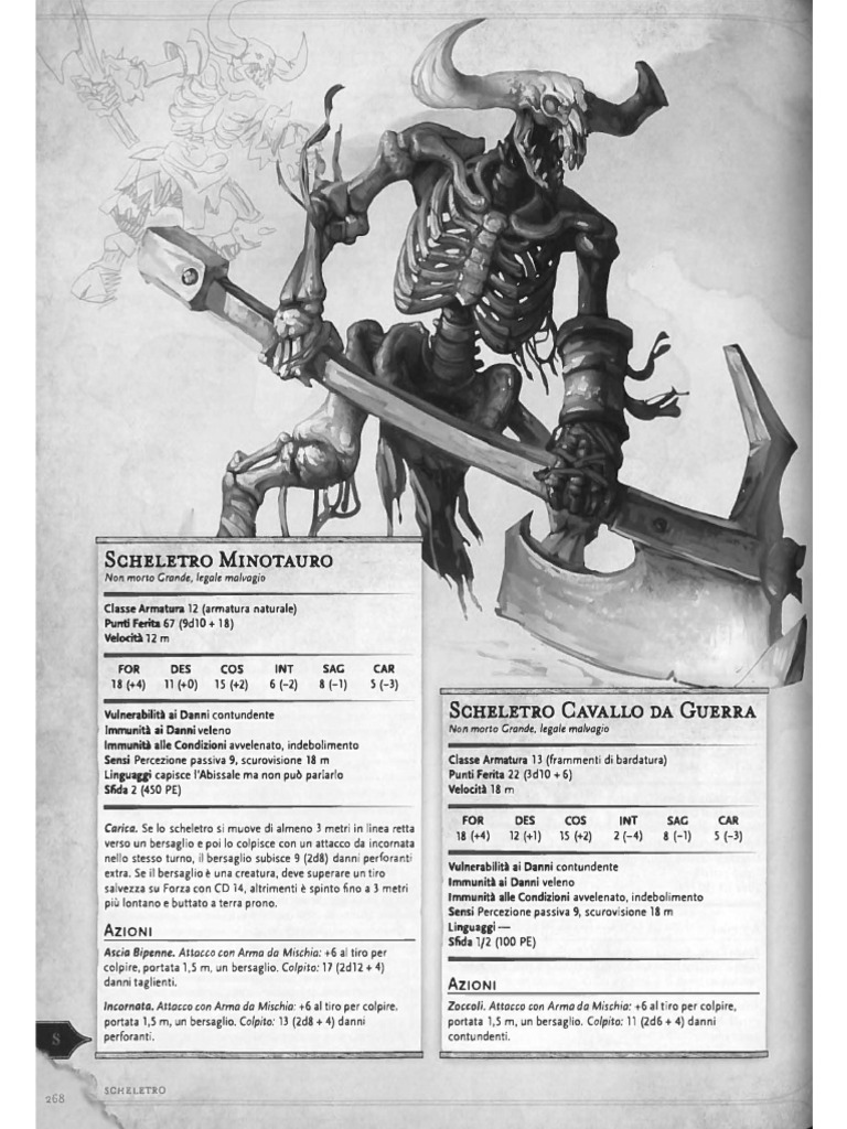 Scheletro Medio | PDF