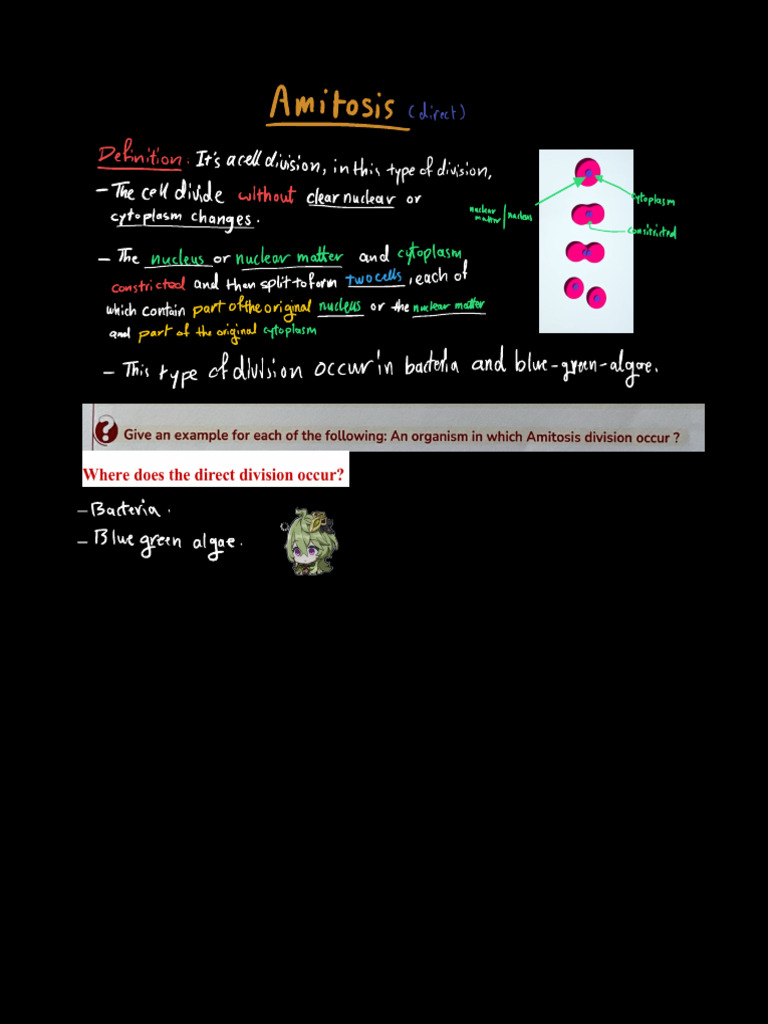 Amitosis | PDF