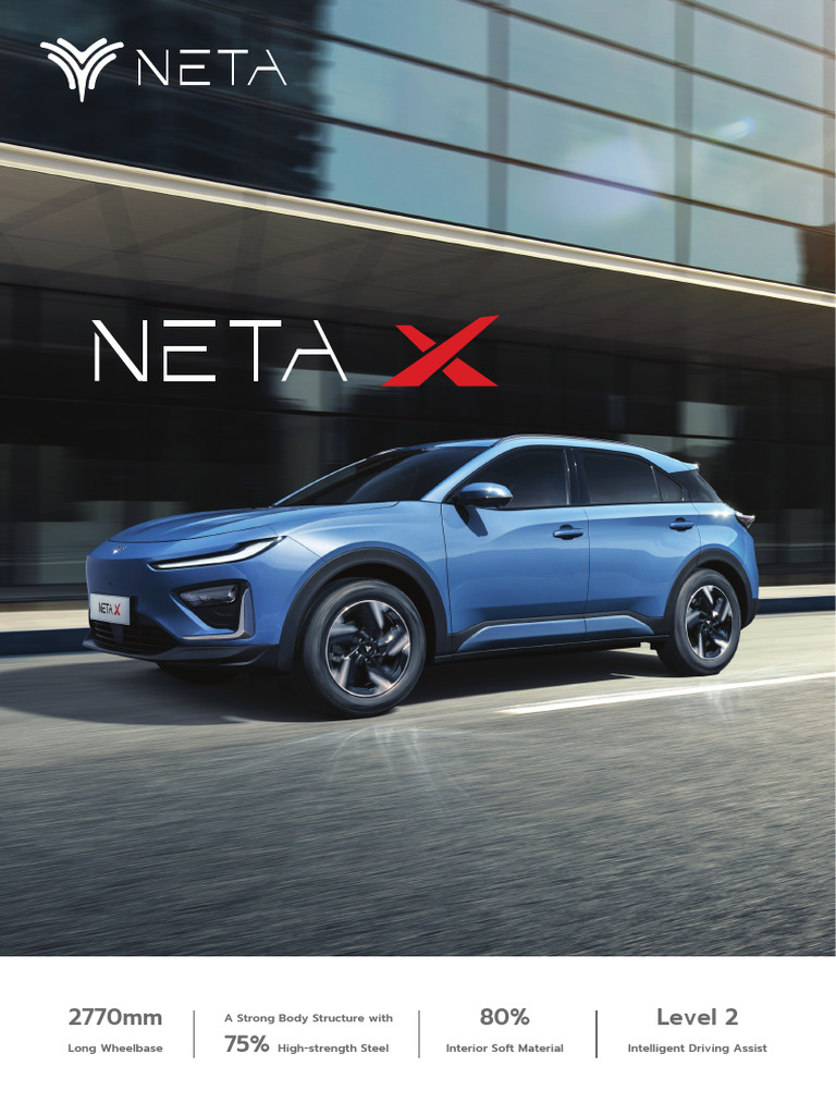 FA Flyers NETA X | PDF