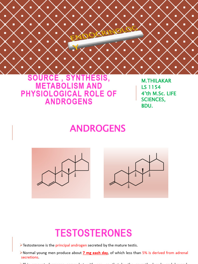 Source Synthesis and Metabolism of Androgens | PDF | Testosterone ...