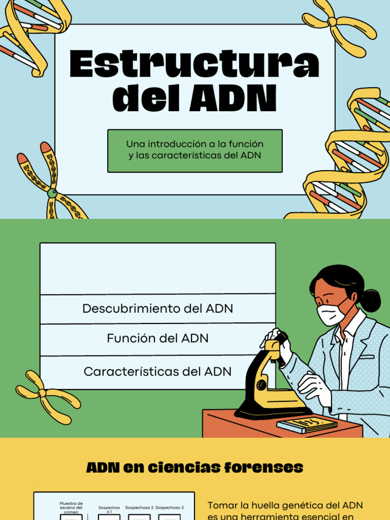 Azul Celeste Verde y Amarillo Estilo Ilustrativo Orgánico Estructura Del ADN Presentación de ...