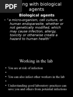 Approved List of Biological Agents | PDF | Hazards | Risk