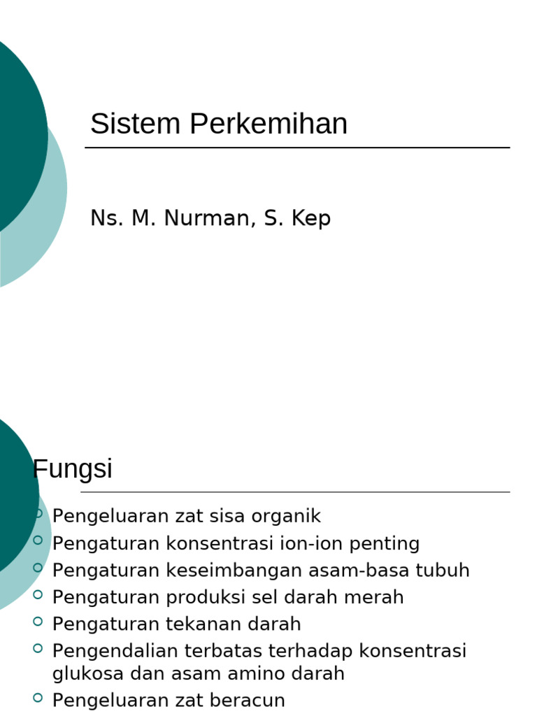 Anatomi Sistem Perkemihan | PDF