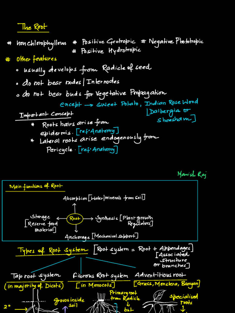 Morphology of Higher Plants( Vegetative Structures) | PDF