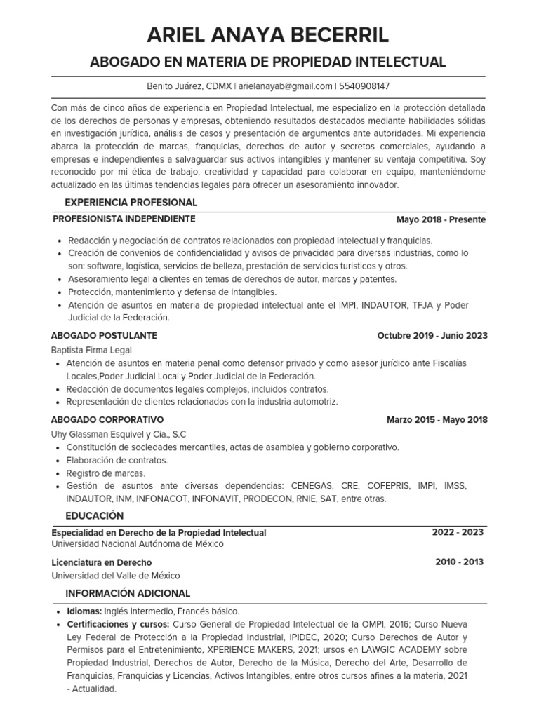 CV Ariel Anaya 2024 | PDF