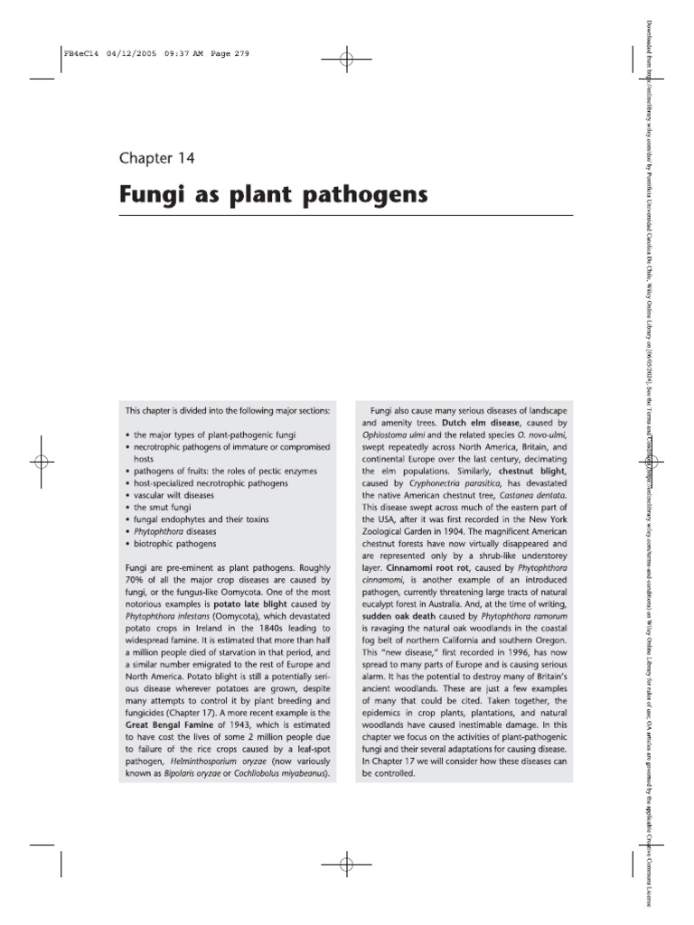 DEACON CAP 14 - en (01-07) | PDF