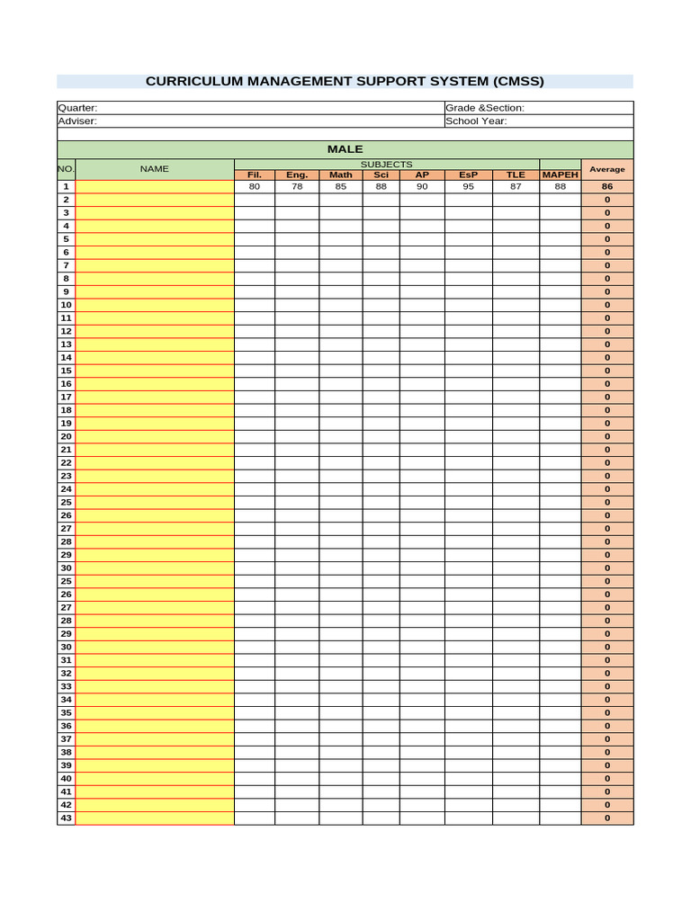 CMSS Template Final | PDF