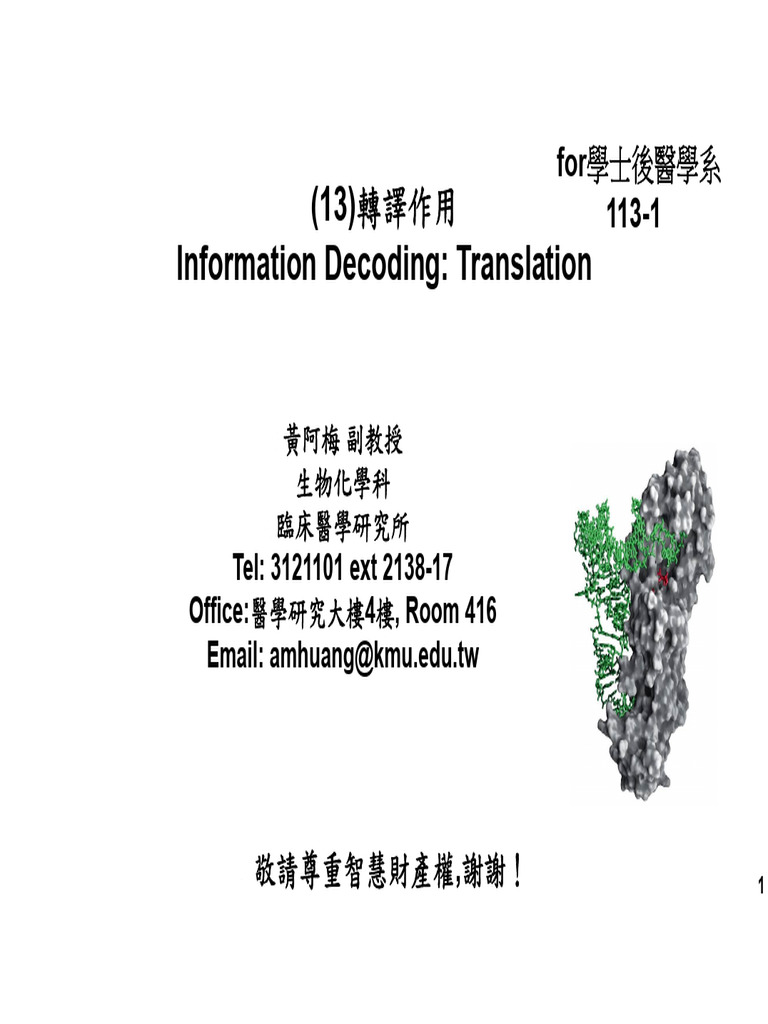 13-Translation AMH BM Stu | PDF