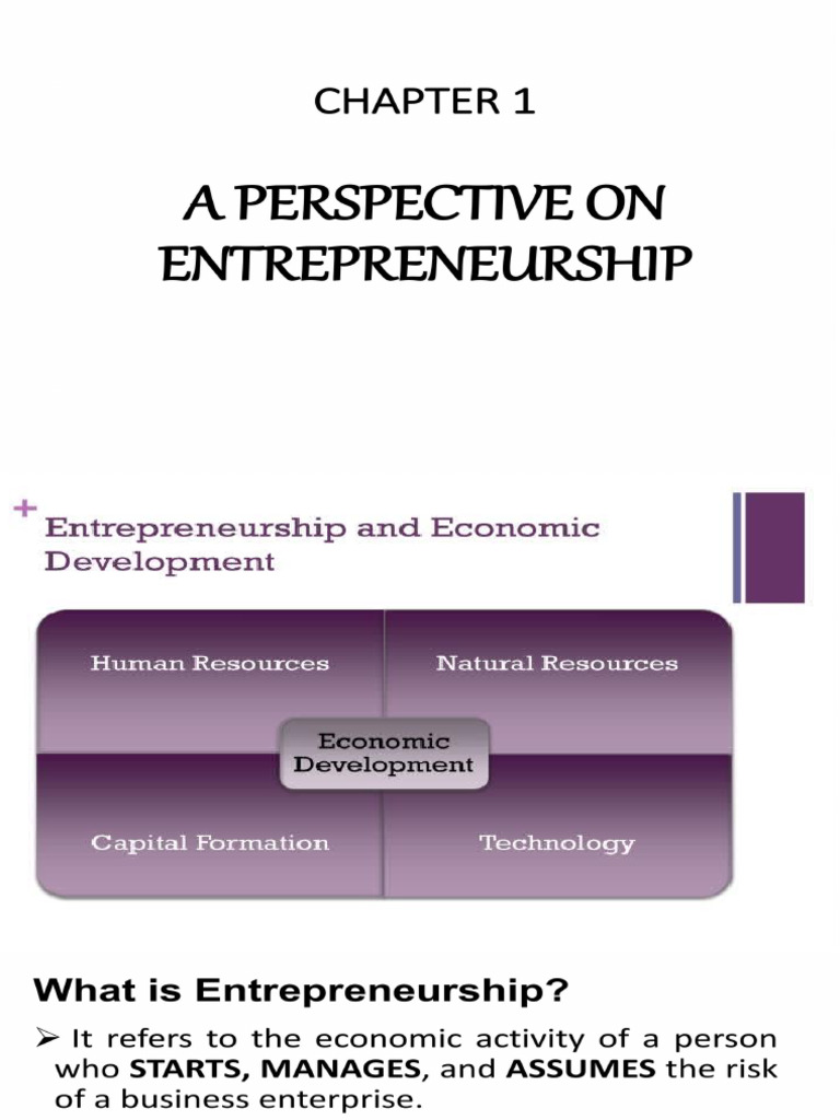 Chapter 1 Perspective on Entrep | PDF