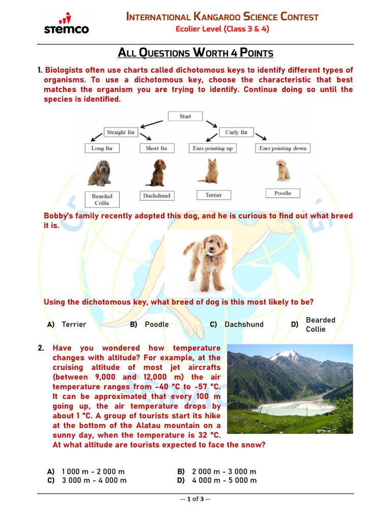 1 Ecolier IKSC Sample | PDF